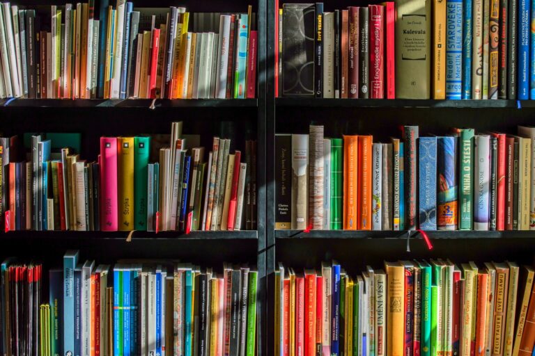 How Many Books Should You Read In A Year Caribu